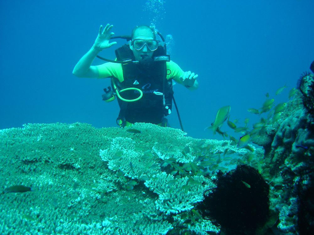 Phaidon Beach Resort | Los alojamientos imprescindibles enAntique ...