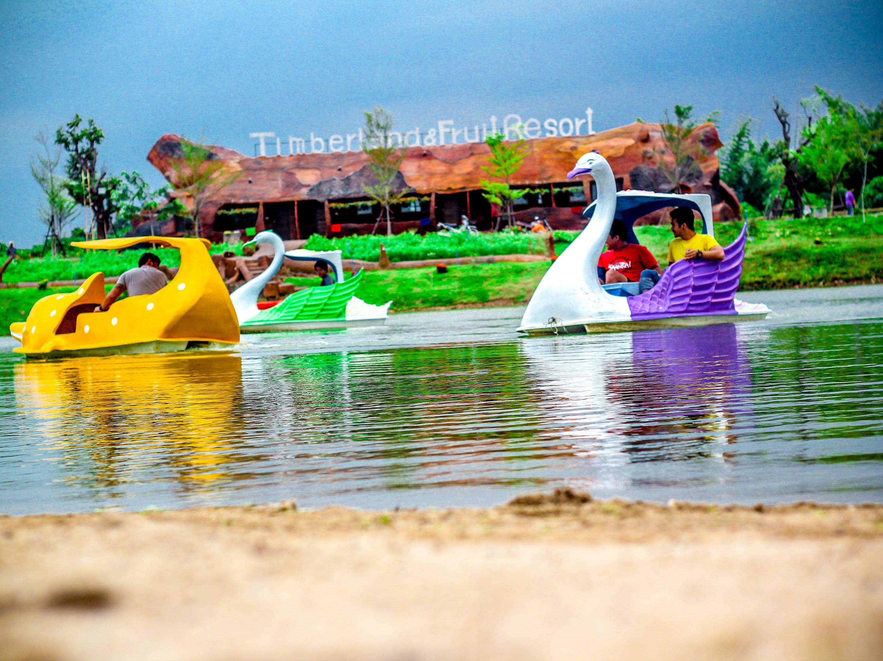 Timberland And Fruit Resort