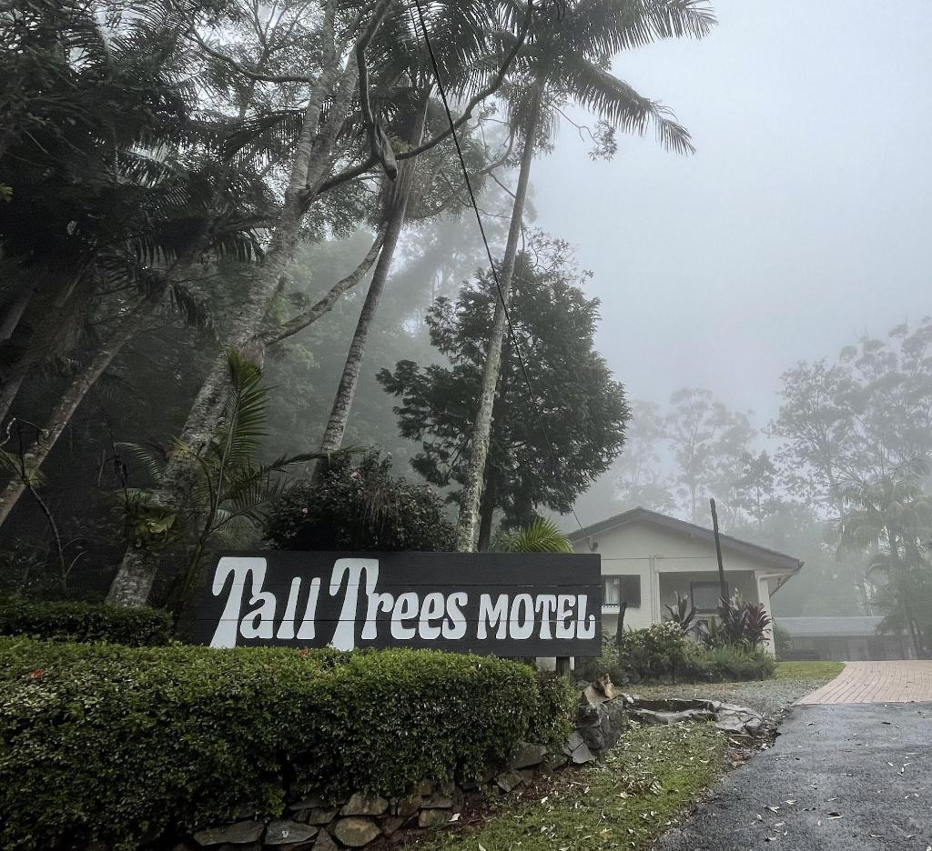 Tall Trees Motel | YONDA
