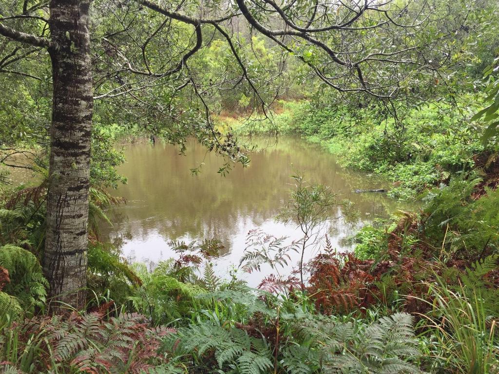 The Lodge Mapleton Falls | YONDA